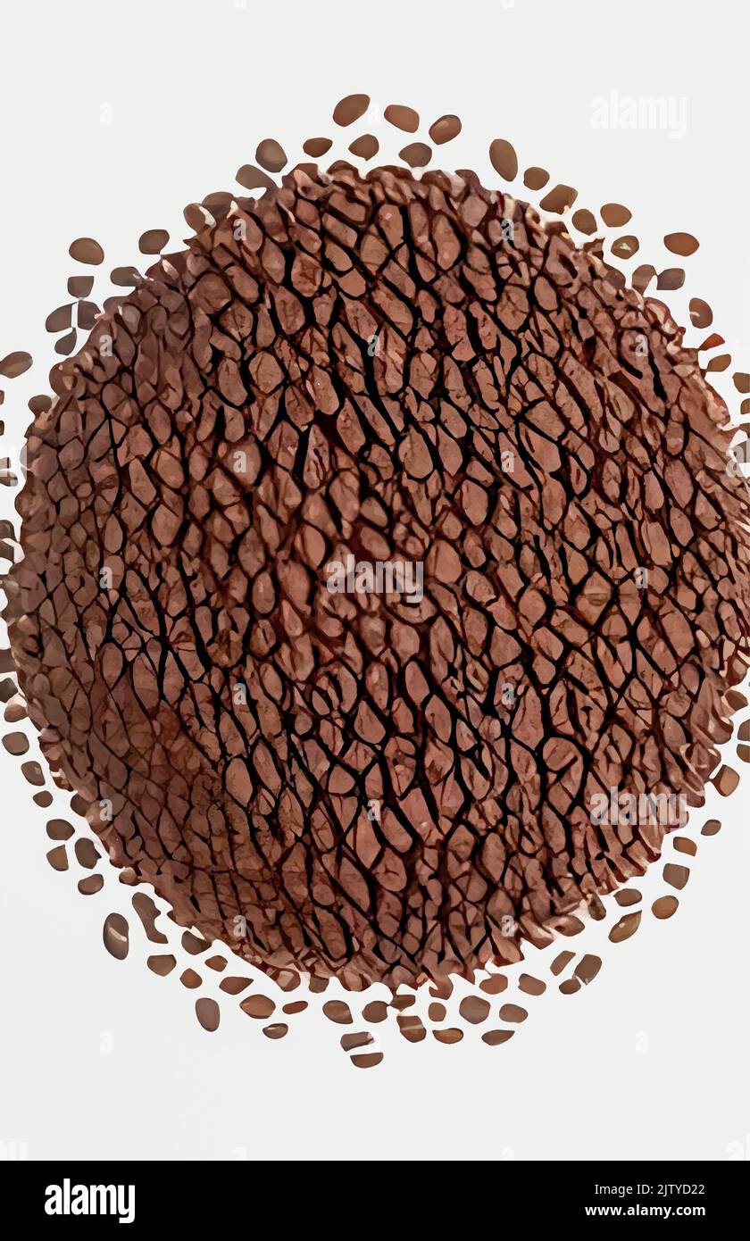 A closeup of the coffee beans vector illustration Stock Vector Image ...