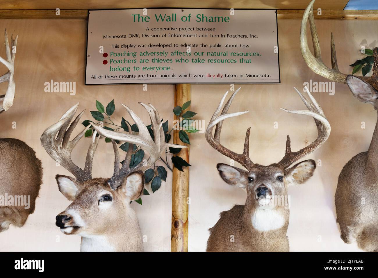 The Wall of Shame, part of an anti-poaching display at the Minnesota ...