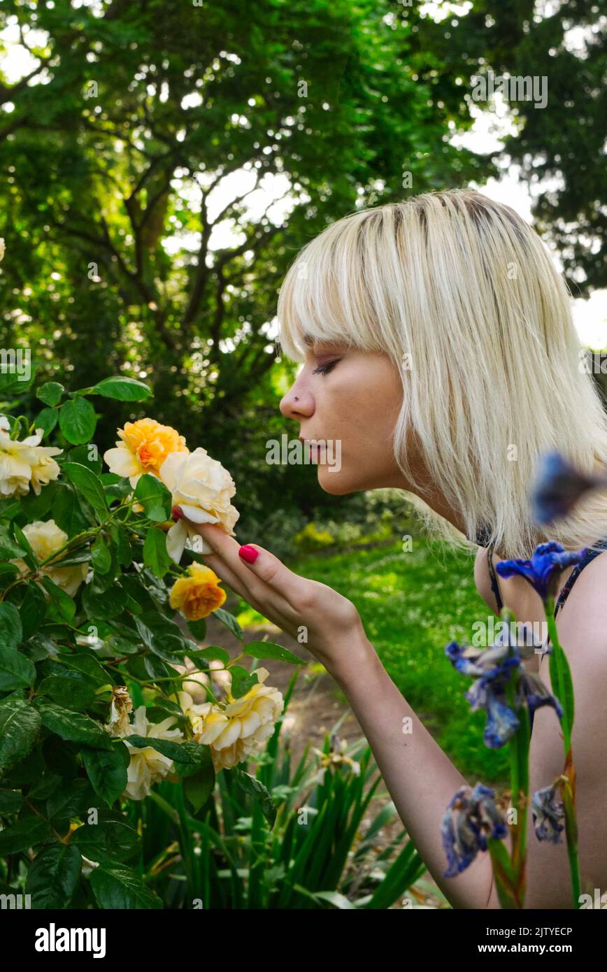 Smelling a rose summer garden hi-res stock photography and images - Alamy