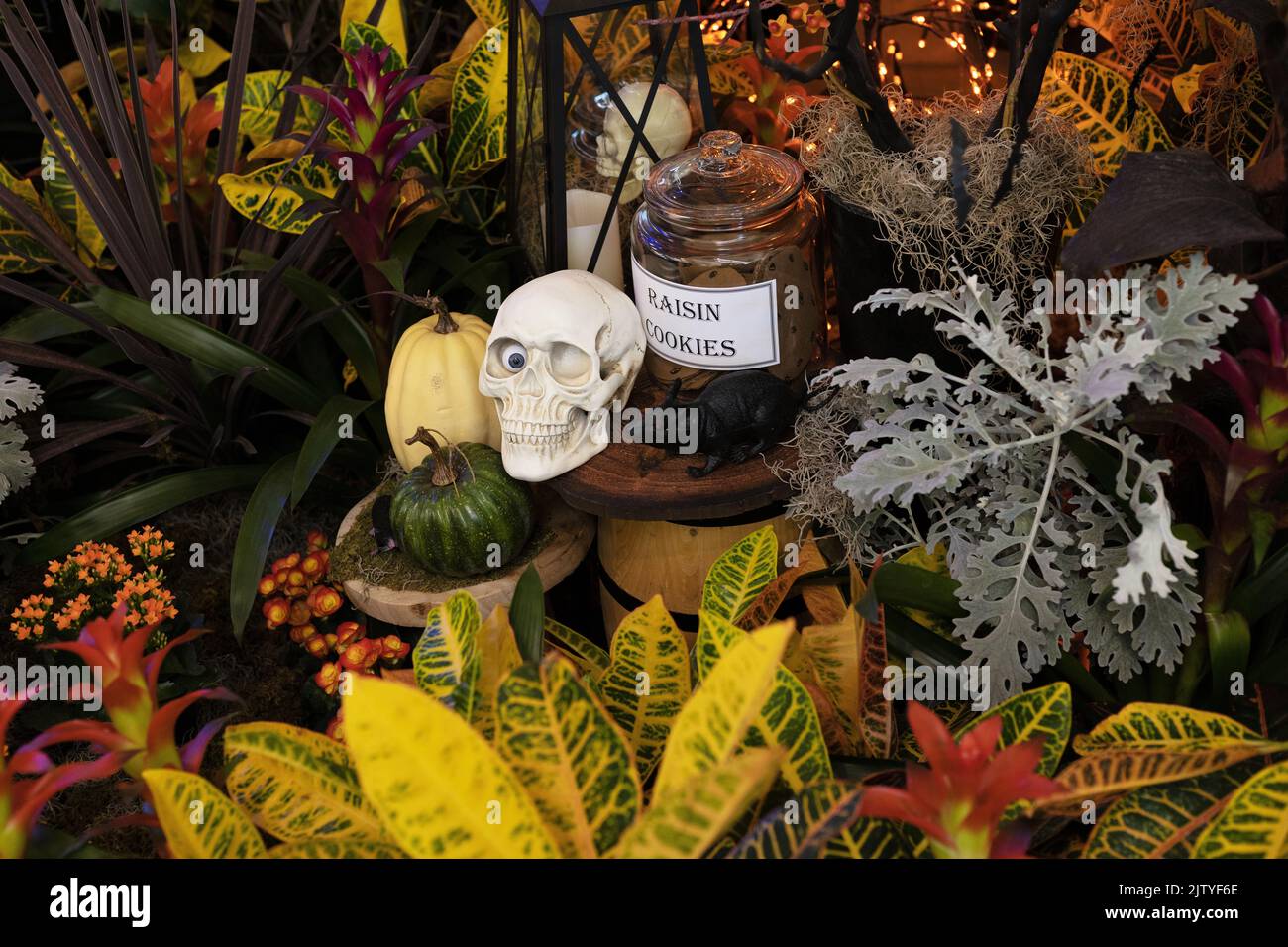 Halloween themed plant and flower garden competition at the Minnesota ...