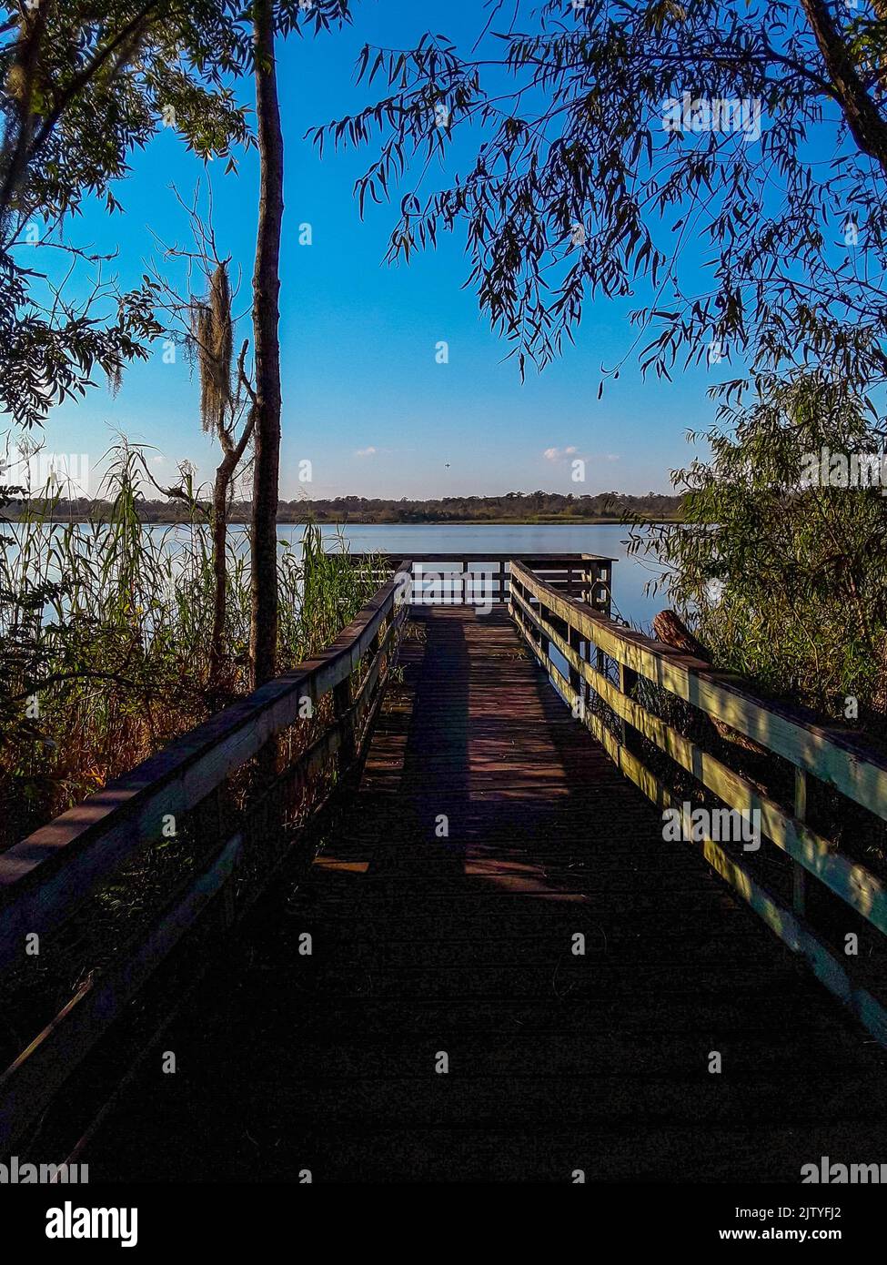 Blakeley State Park waterfront on the Tensaw River Stock Photo - Alamy