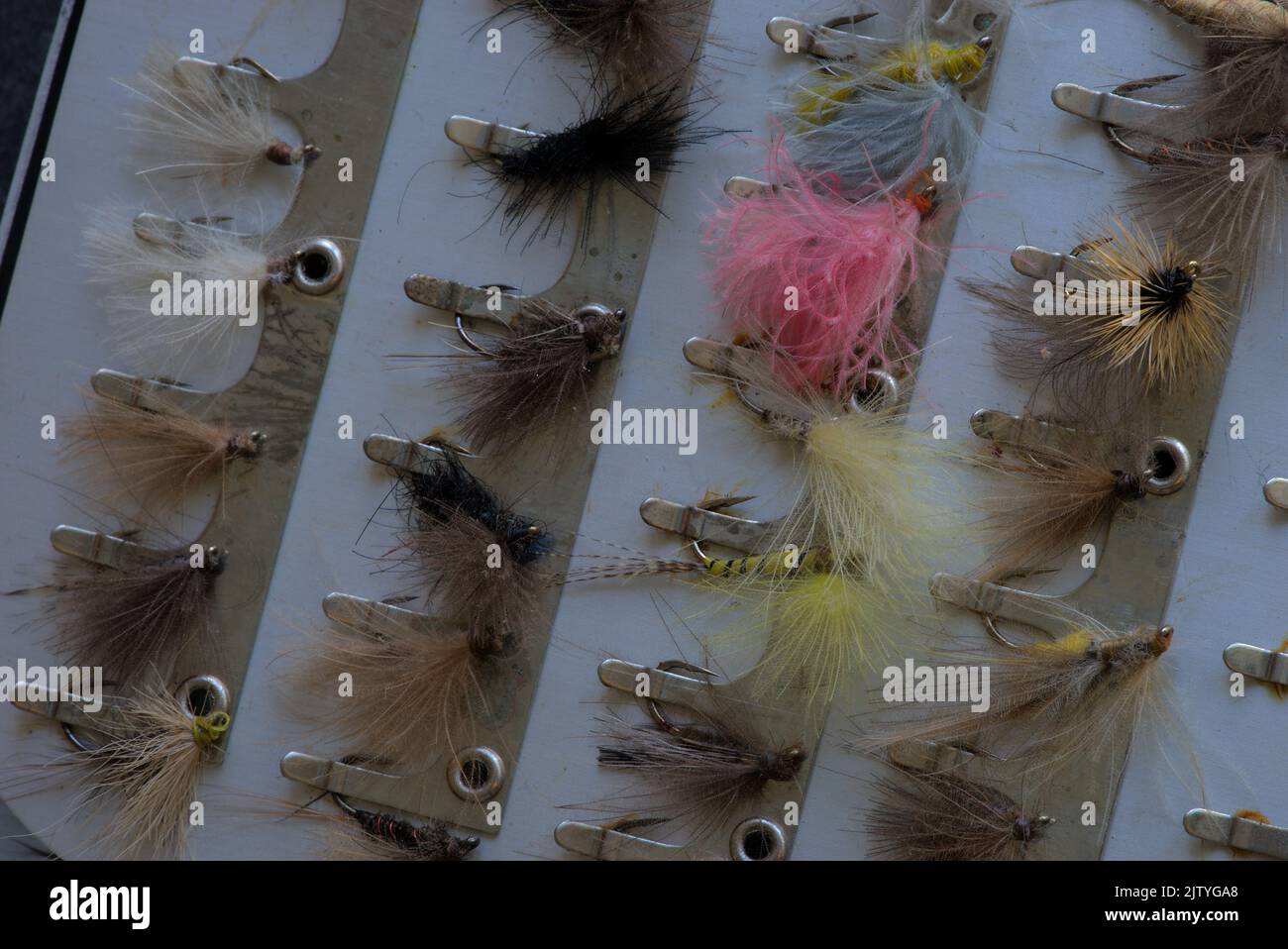 Lure fly fishing hi-res stock photography and images - Alamy