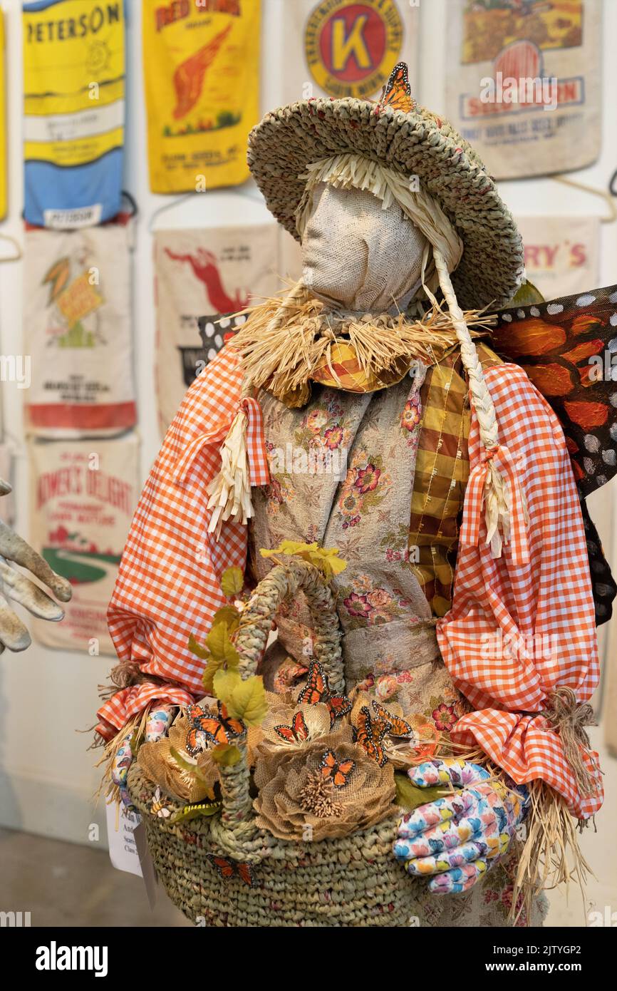 The scarecrow competition display at the Minnesota State Fair in St ...