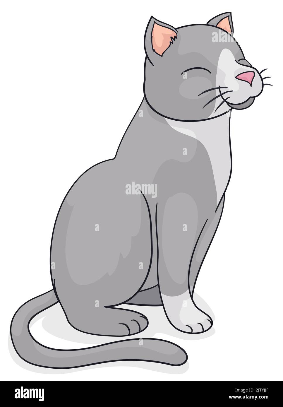 Gray Cat Clipart