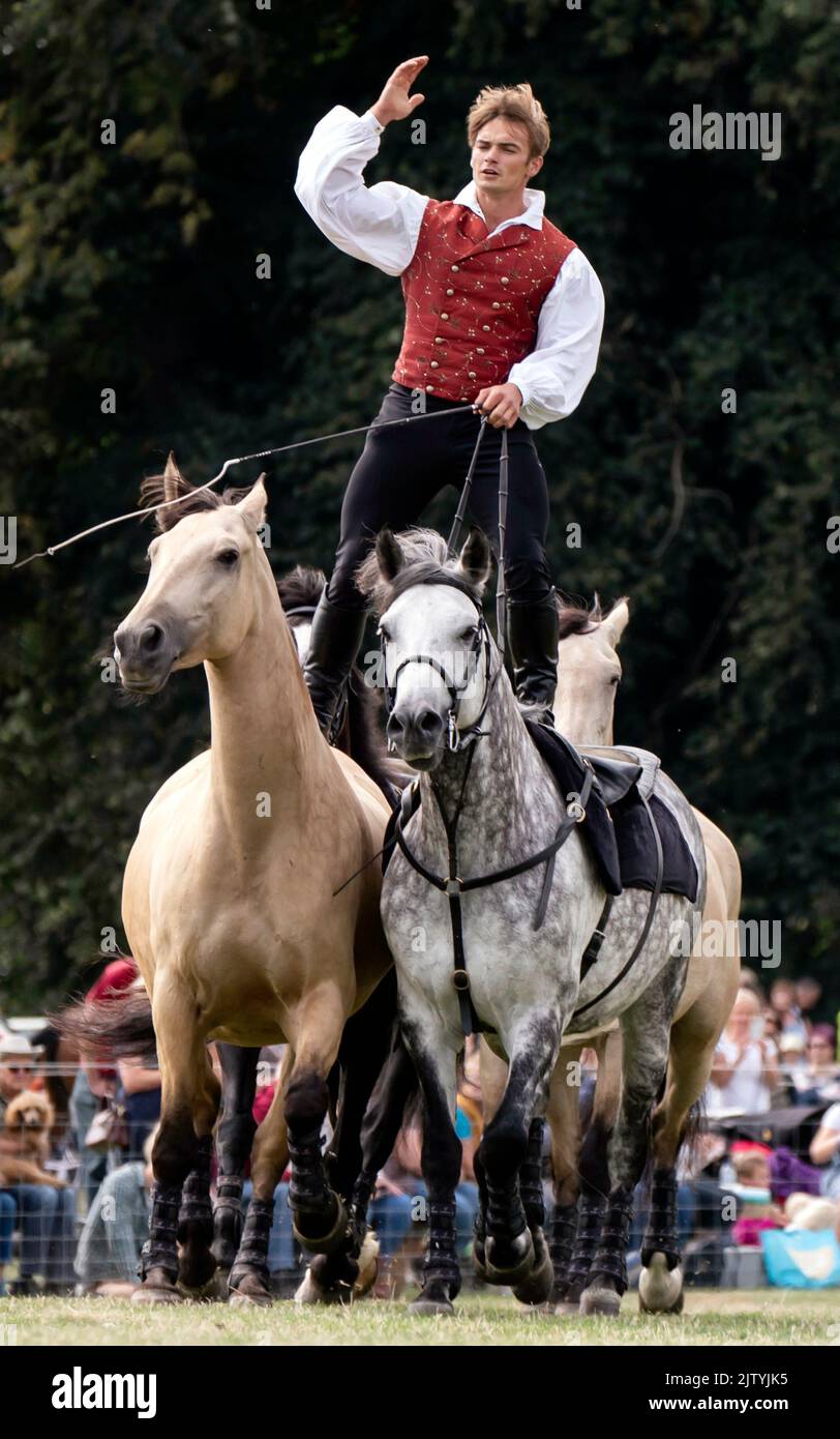 A member of Atkinson Action Horses performs over Chatsworth House ...