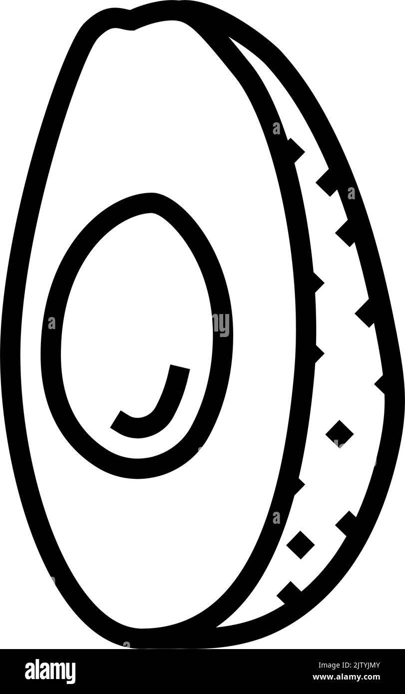 cut brown avocado line icon vector illustration Stock Vector Image ...