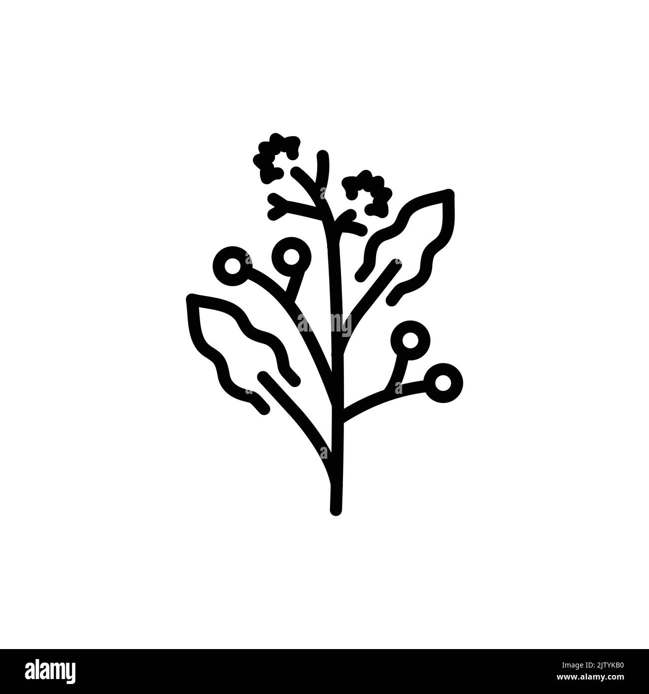 Camphor olor line icon. Pictogram for web page Stock Vector Image & Art ...