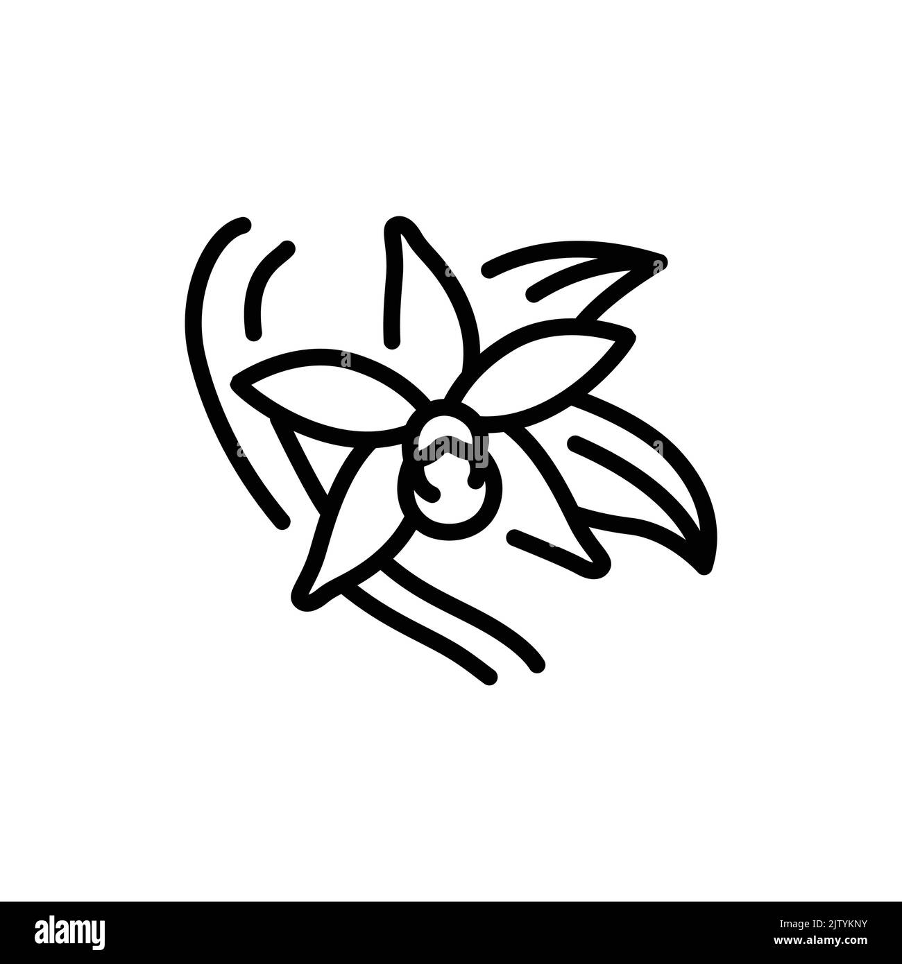 Vanilla olor line icon. Pictogram for web page Stock Vector Image & Art ...