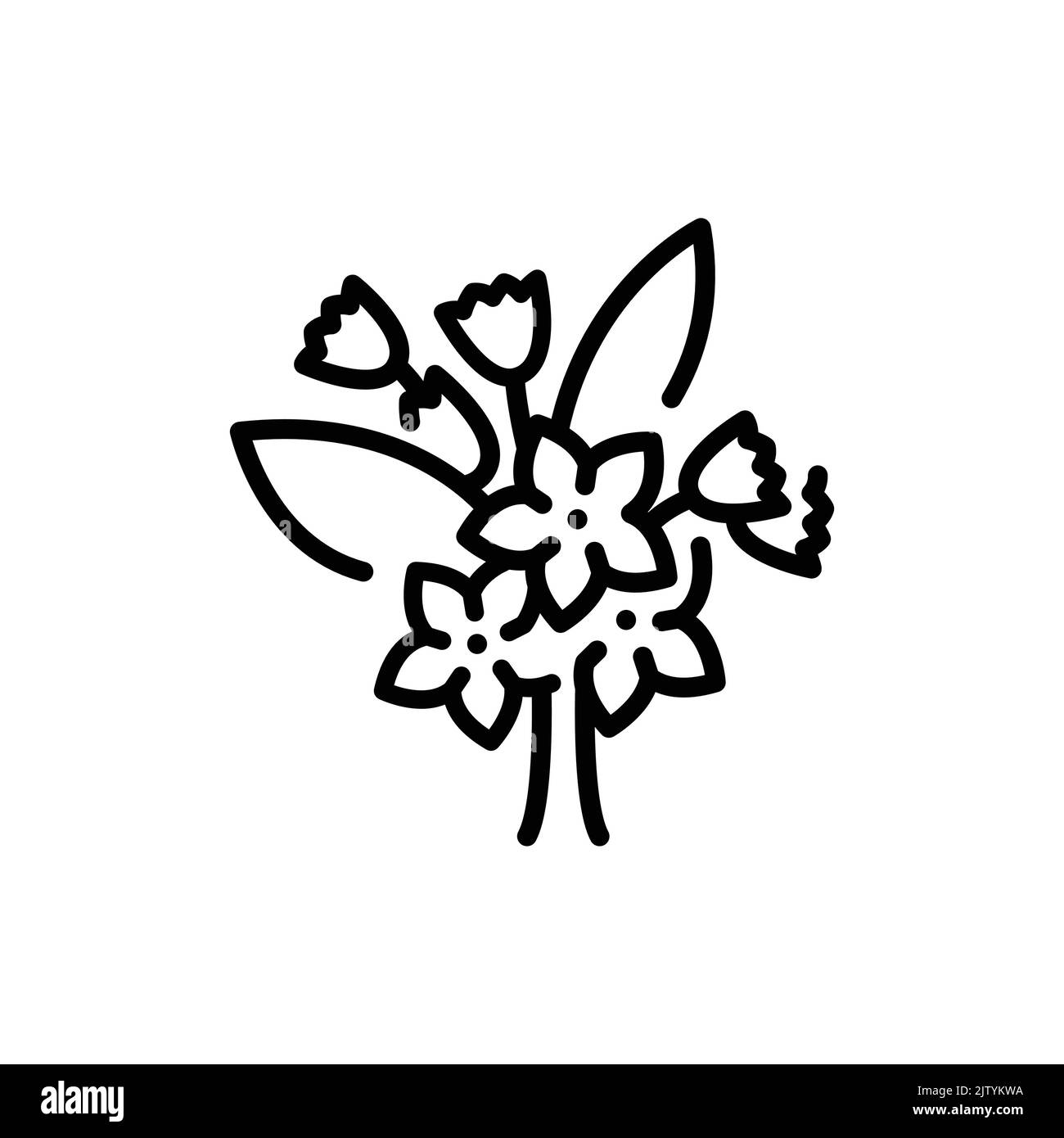 Jasmine olor line icon. Pictogram for web page Stock Vector Image & Art ...
