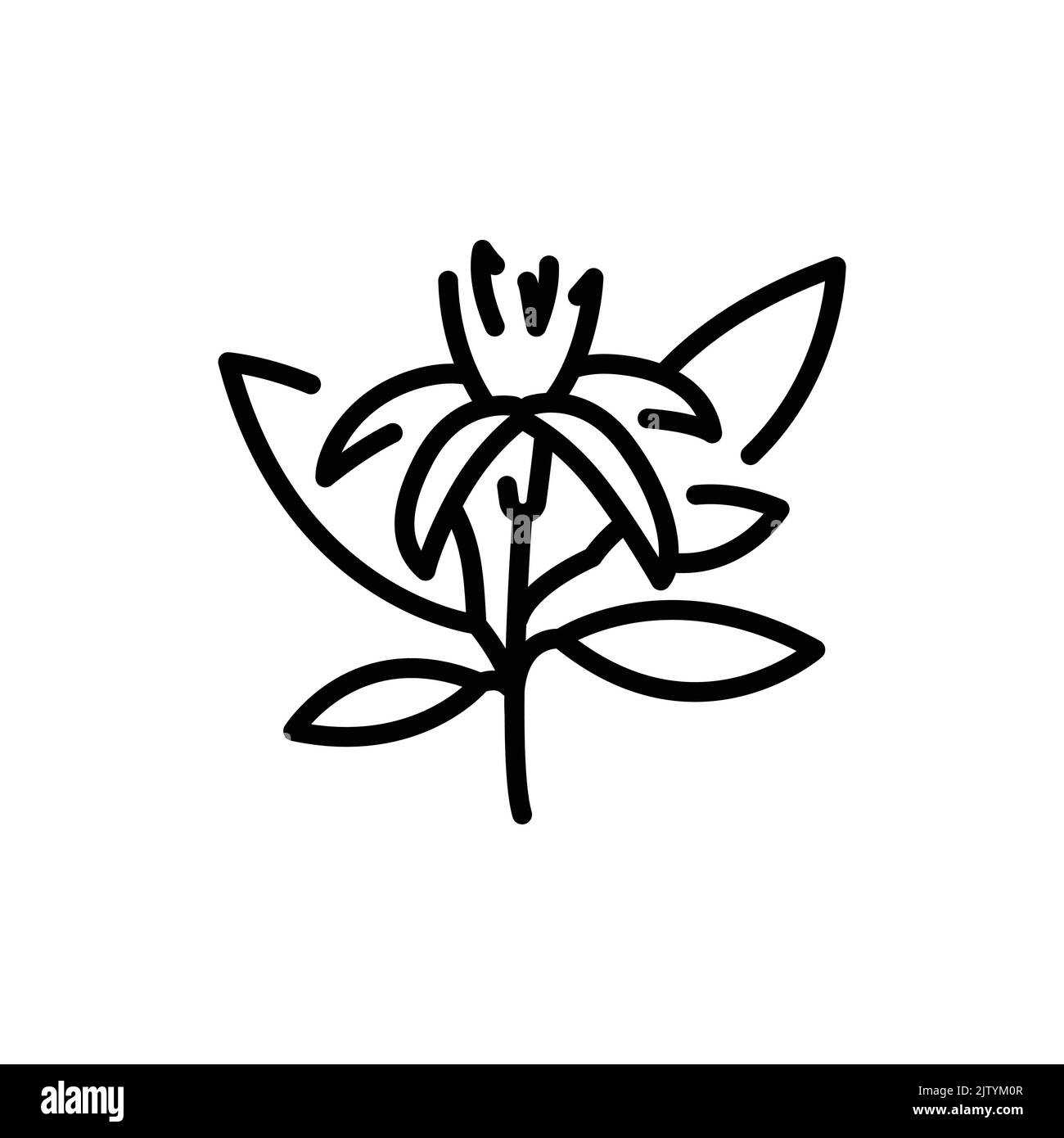 Neroli essential oil Stock Vector Images - Alamy
