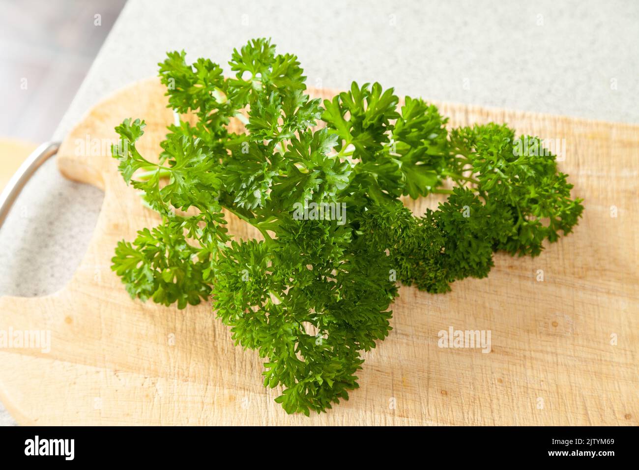 A spring of parsley on a kitchen work top Stock Photo - Alamy