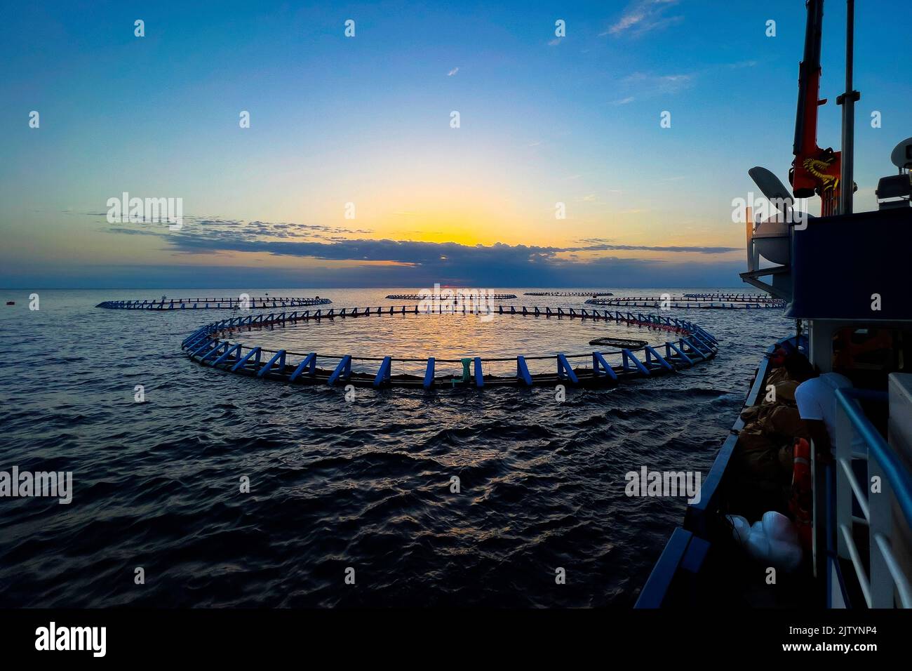 Xemxija. 1st Sep, 2022. Photo taken on Sept. 1, 2022 shows a bluefin ...