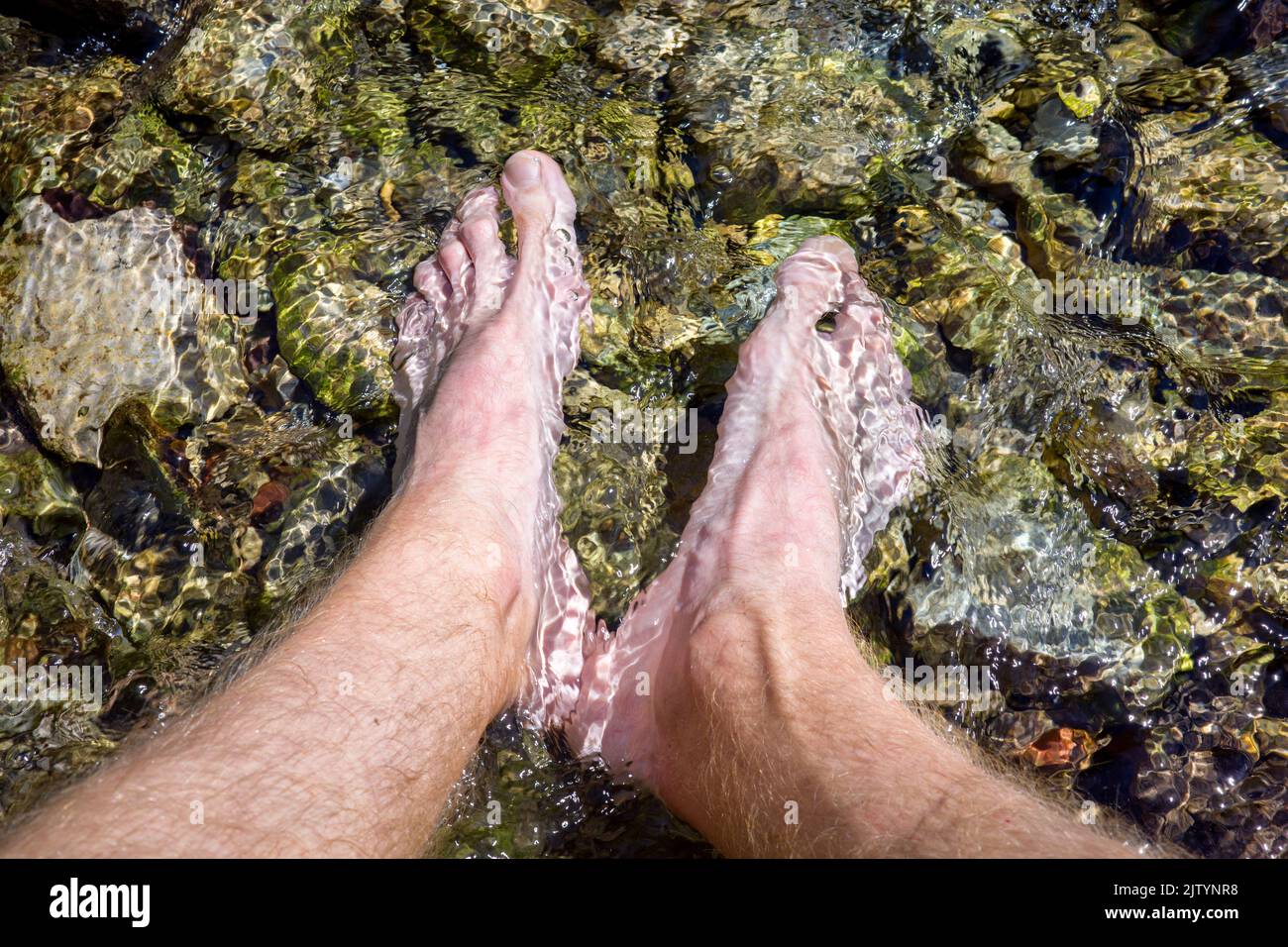 Male feet immersed in the clear water of a mountain stream. Cooling off ...
