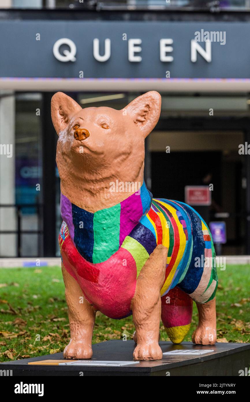 London, UK. 2nd Sep, 2022. Rowana Mallett's corgi on QEII Centre Green ...