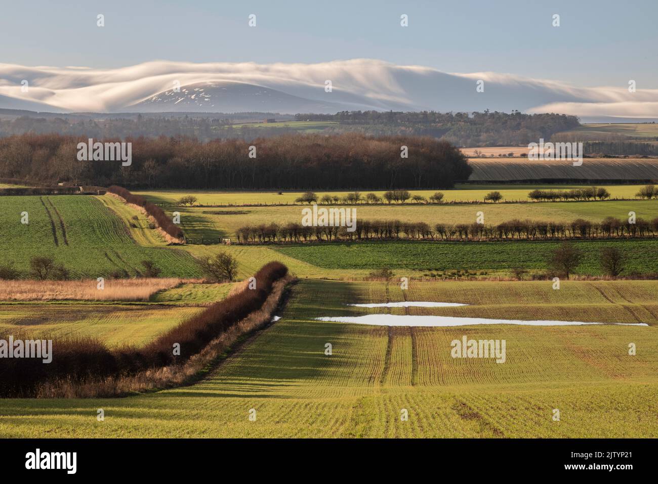 View over farmland near Seahouses towards the Cheviots, Northumberland ...