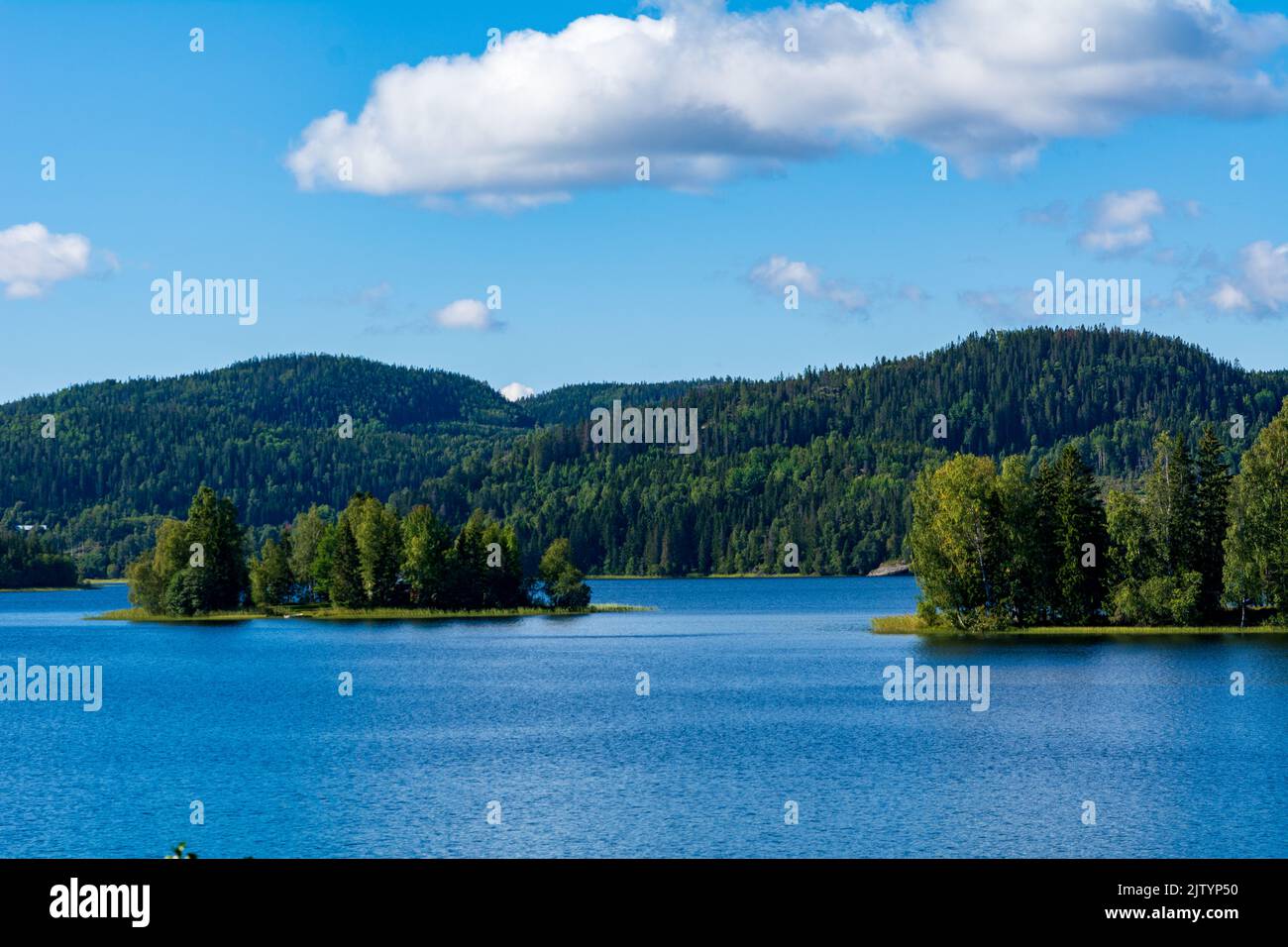 Idyllic lake with a blue with clouds and trees ashore in summer Stock ...