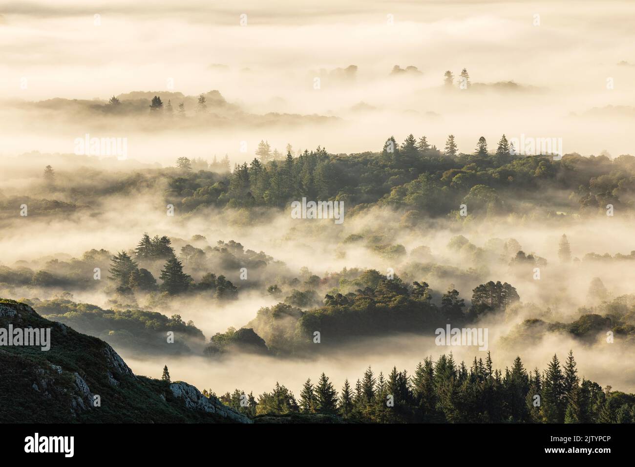 Misty view from Loughrigg Fell, Lake District National Park, Cumbria ...