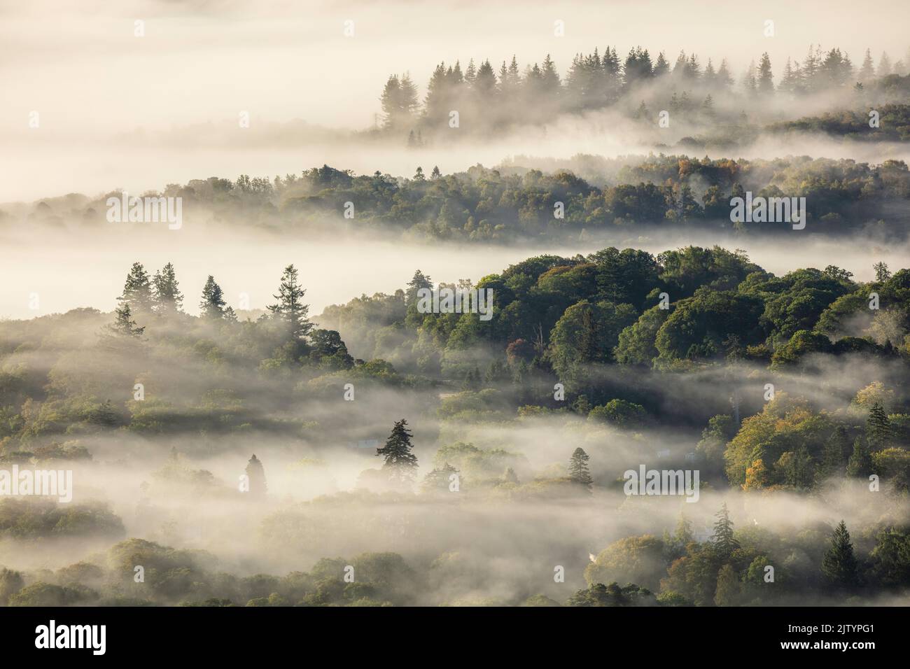 Misty view from Loughrigg Fell, Lake District National Park, Cumbria ...