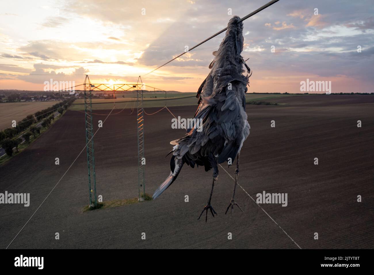 Unnecesery hi-res stock photography and images - Alamy