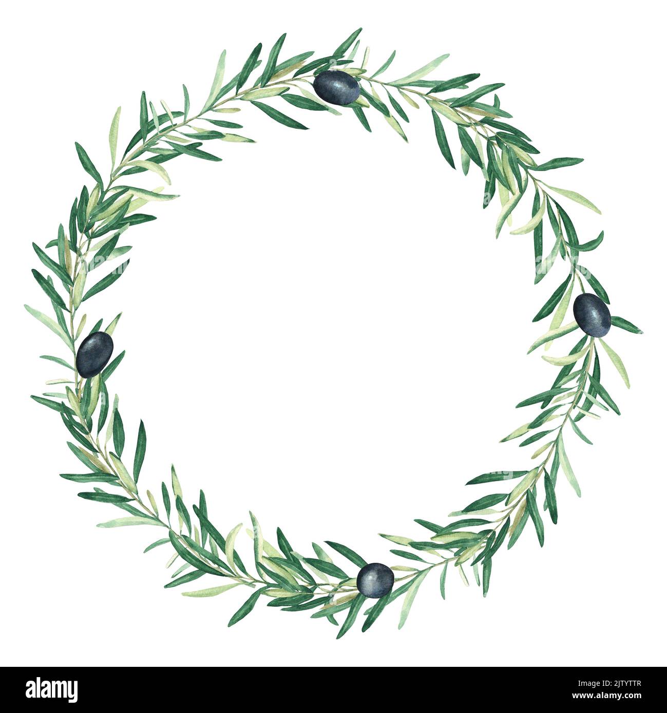 Watercolor olive tree wreath with black olives. Isolated on white ...