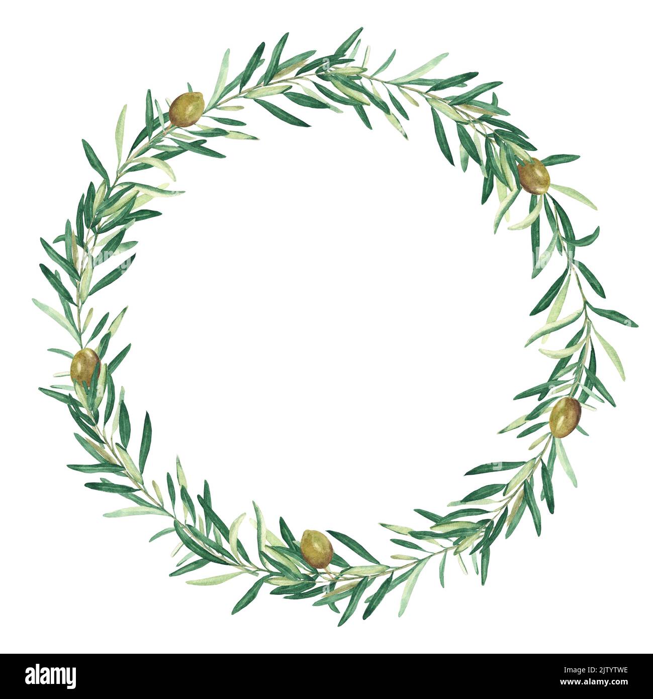 Watercolor olive tree wreath with green olives. Isolated on white ...