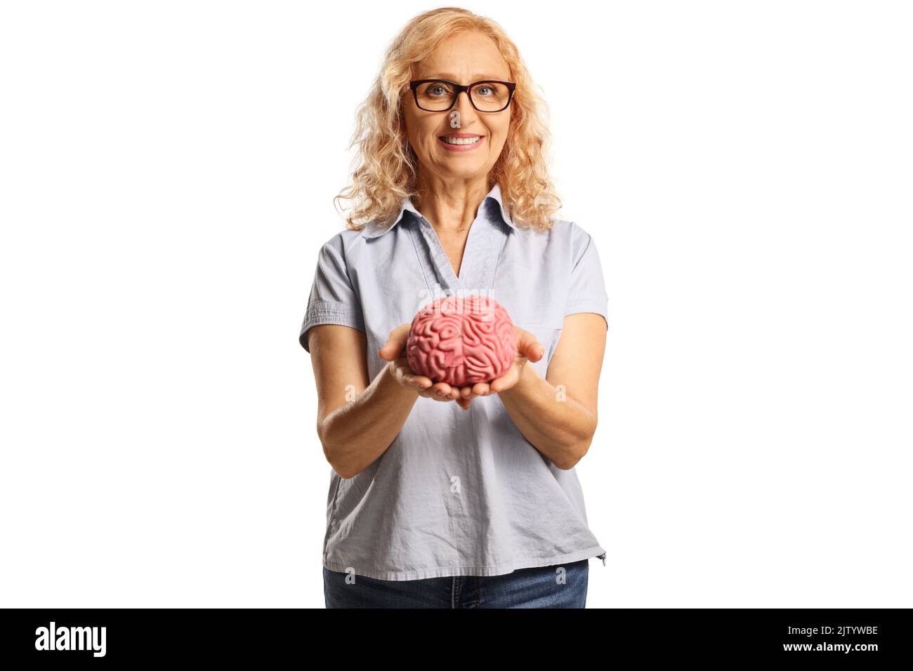 Woman brain anatomy hi-res stock photography and images - Alamy