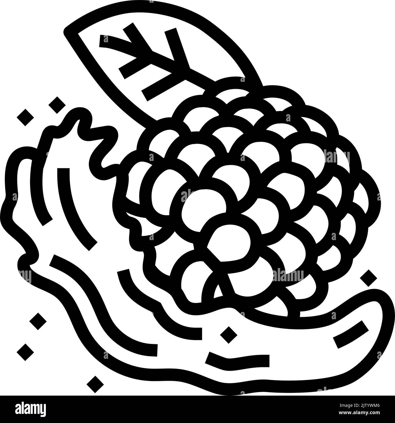 splash juice blackberry line icon vector illustration Stock Vector ...