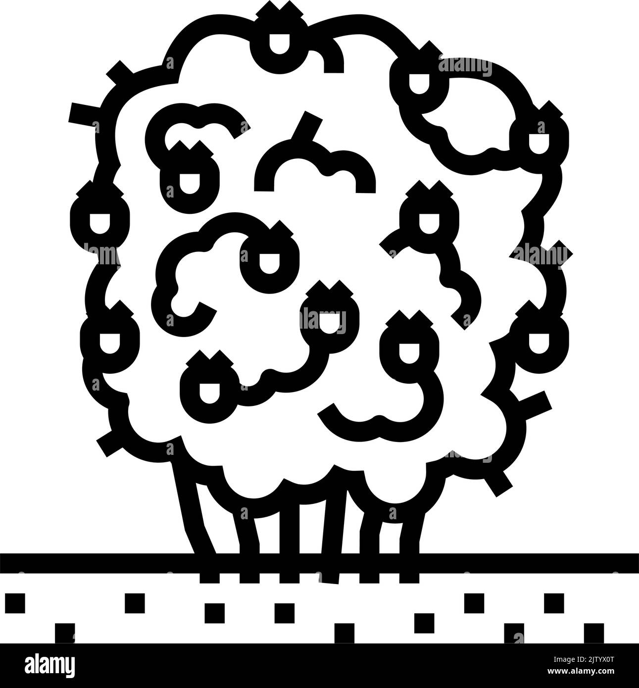 green blackberry bush line icon vector illustration Stock Vector Image ...