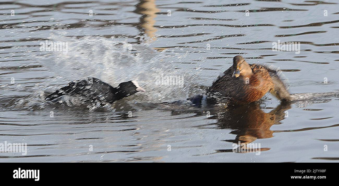 There no respite hi-res stock photography and images - Alamy