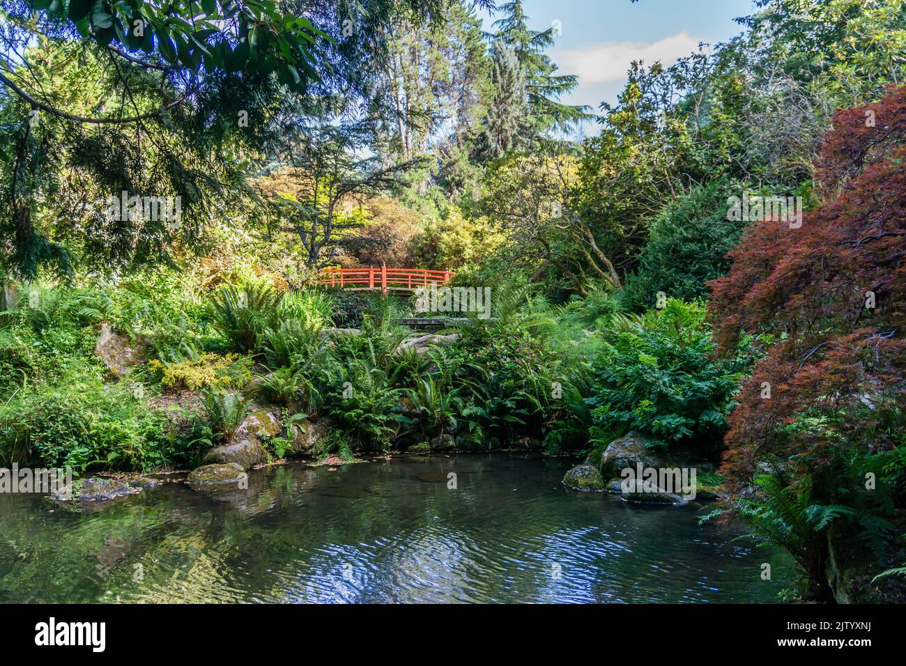 A red walking bridge in a garden in Seattle, Washington Stock Photo - Alamy