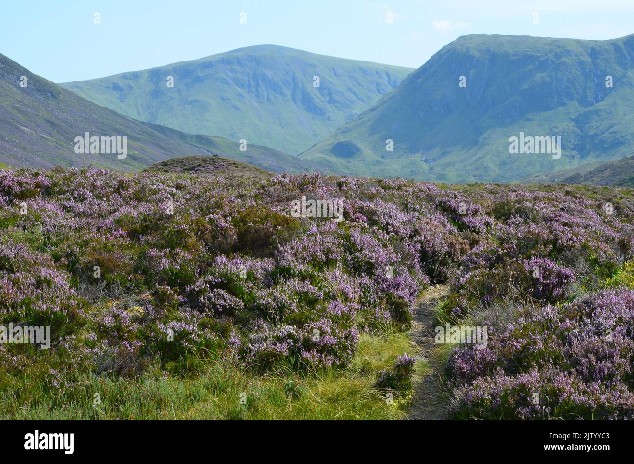 Upper Glen Callater, a Site of Special Scientific Interest within The ...
