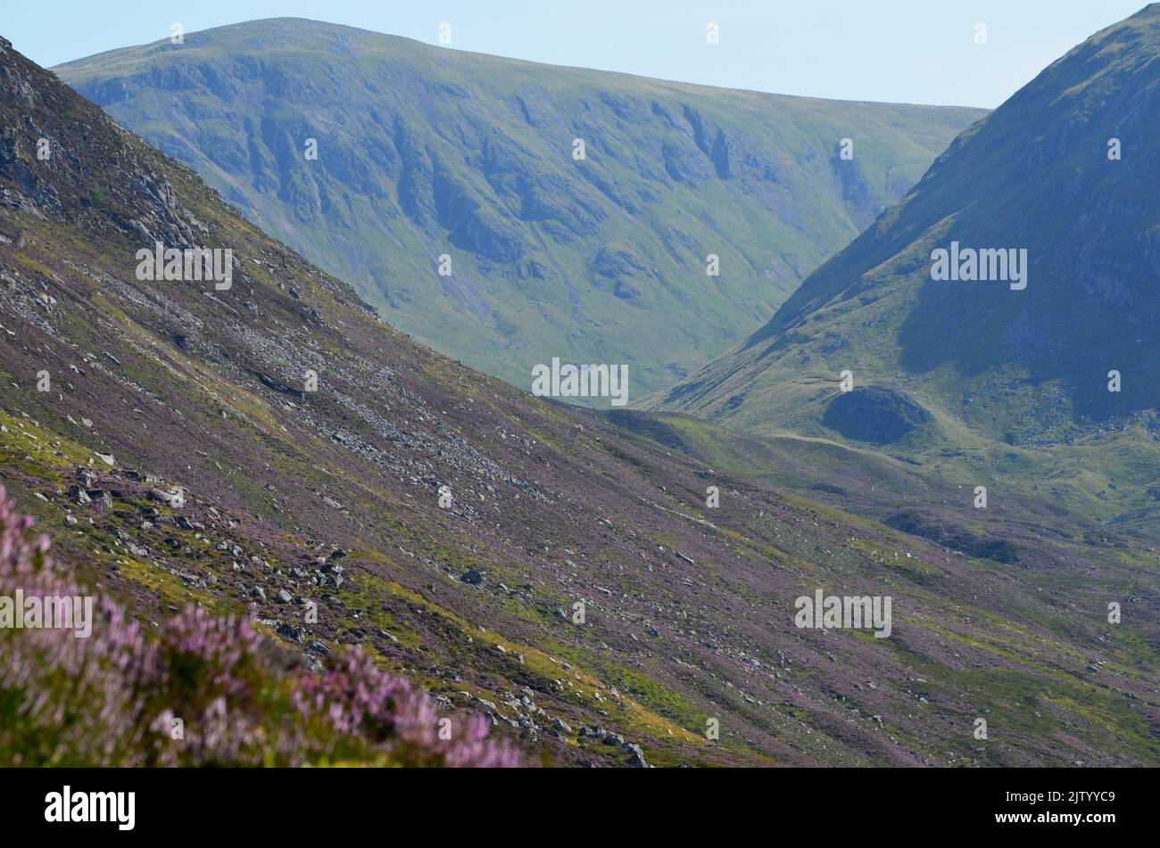 Upper Glen Callater, a Site of Special Scientific Interest within The ...