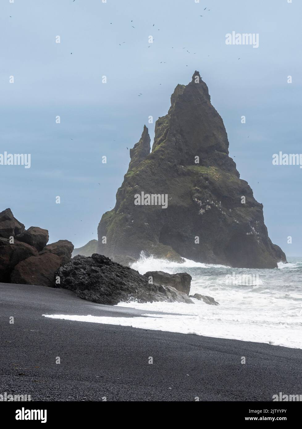 Basalt Sea Stacks framed by the black sand and crashing waves from the ...
