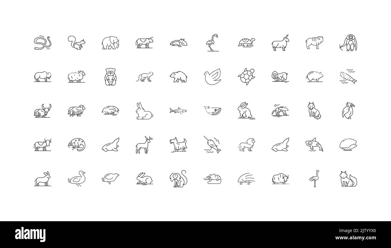 Wildlife animals concept illustration, linear icons, line signs set ...