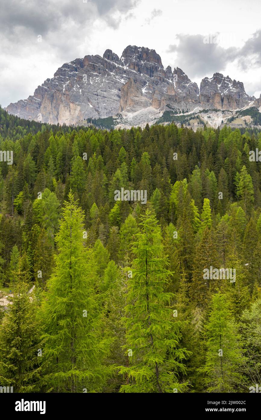 Alpine landscape in Dolomites, Italy Stock Photo - Alamy