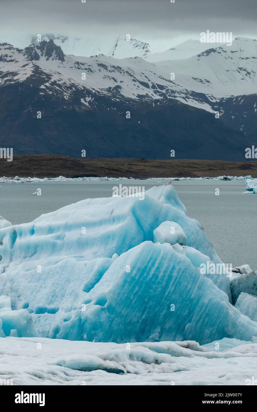 Icebergs floating in the glacial lagoon at Jökulsárlón in the ...