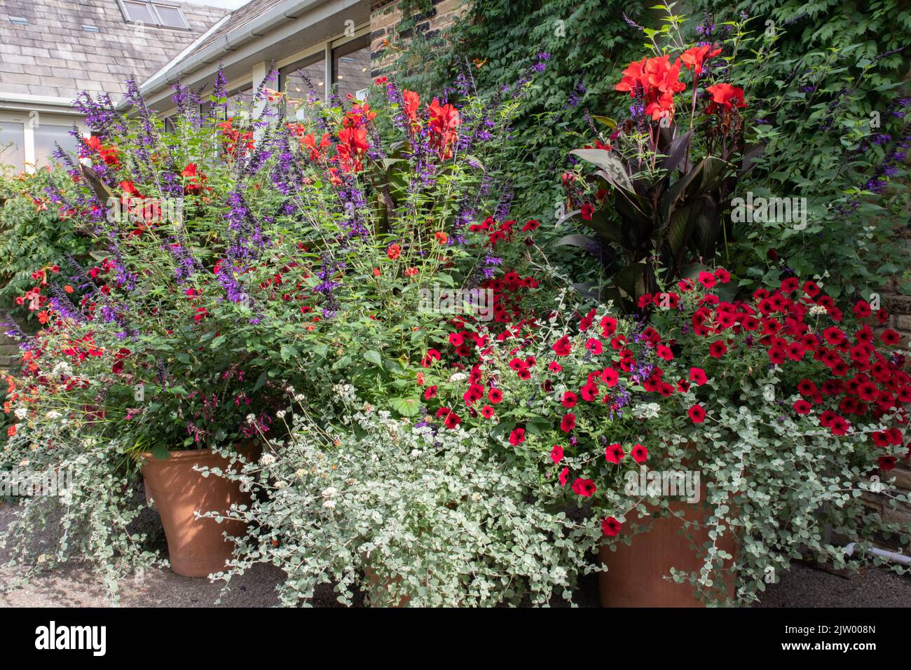 Mixed container planting at Harlow Carr Stock Photo - Alamy