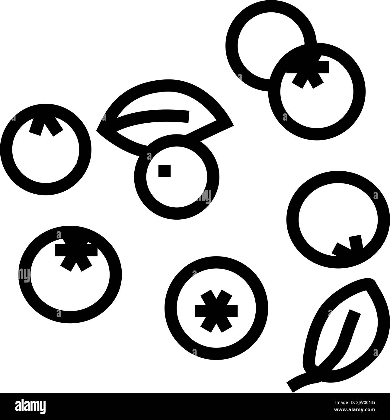 fresh blueberry berry line icon vector illustration Stock Vector Image ...