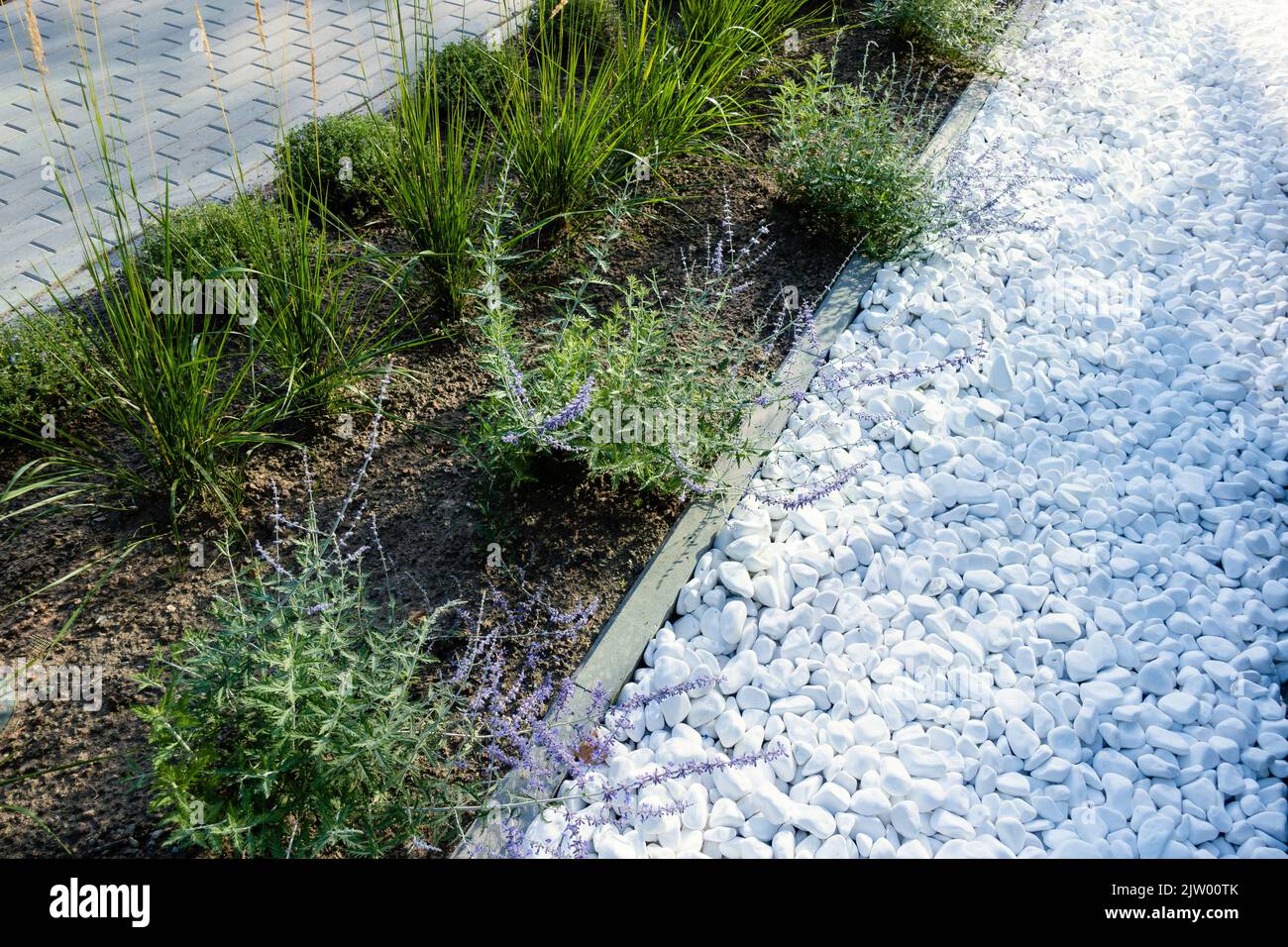 Modern design urban garden landscaping. Flower garden with beautiful ...
