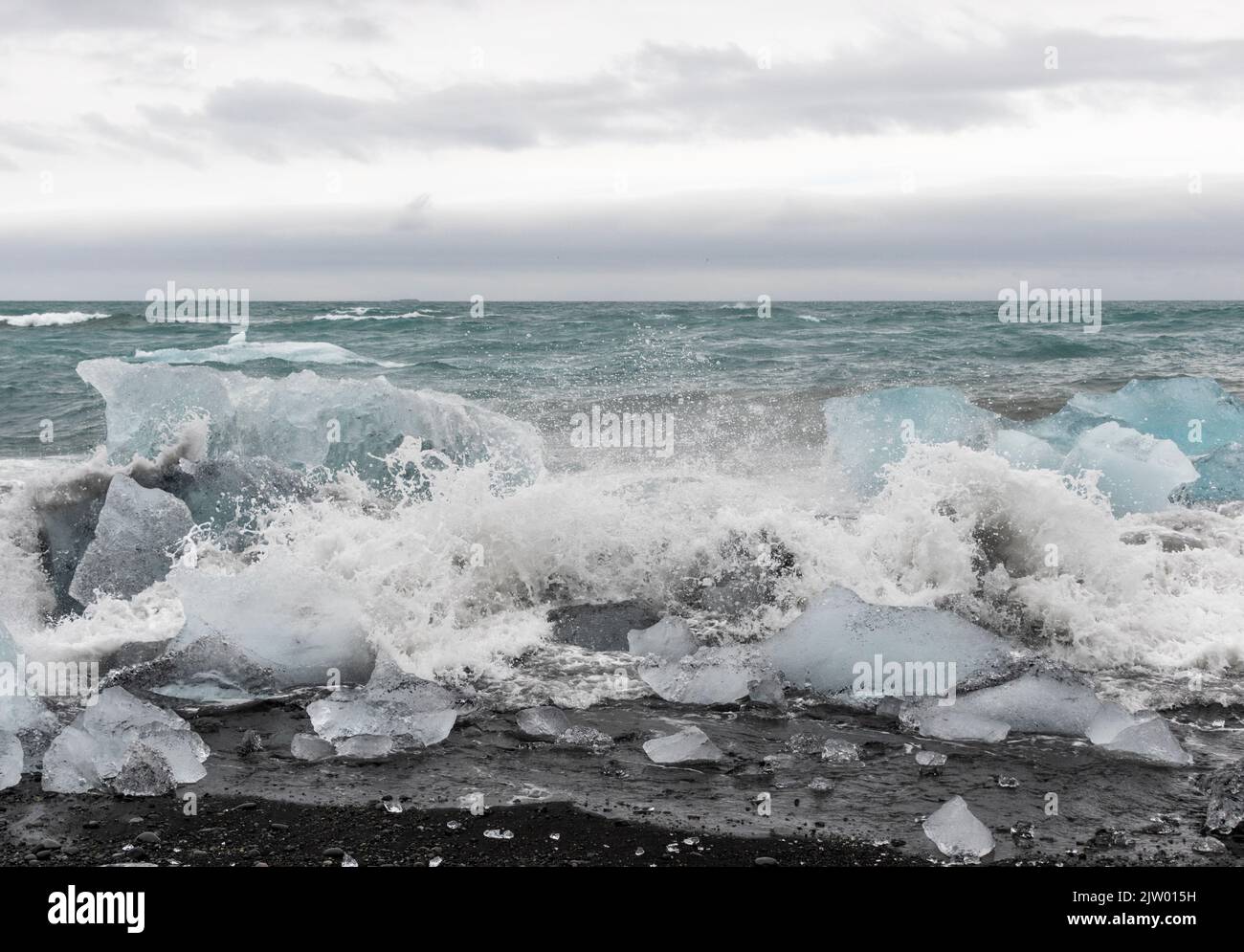 Chunks of ice broken off from the glacier, float out to sea and then ...