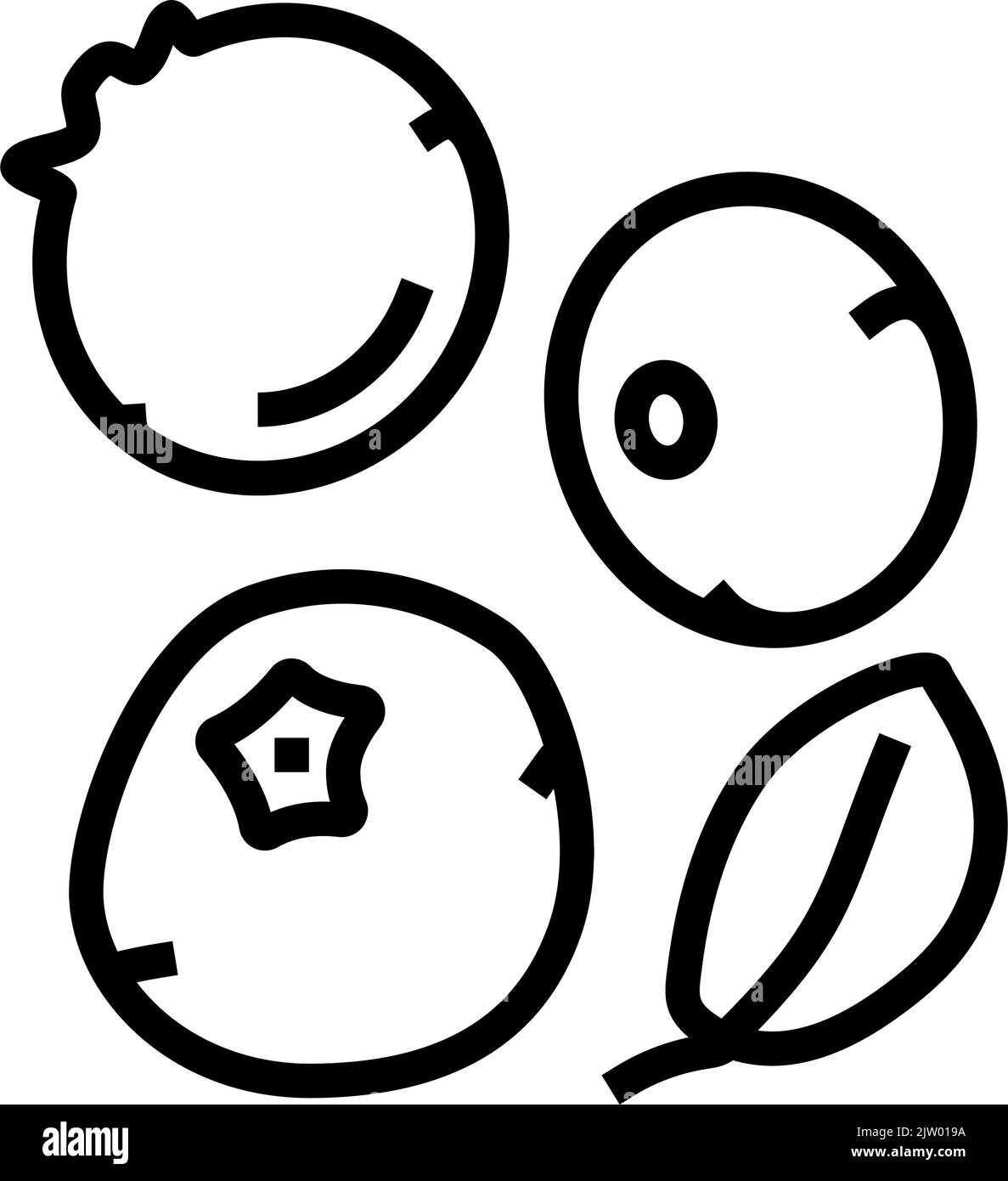 blue blueberry berry line icon vector illustration Stock Vector Image ...