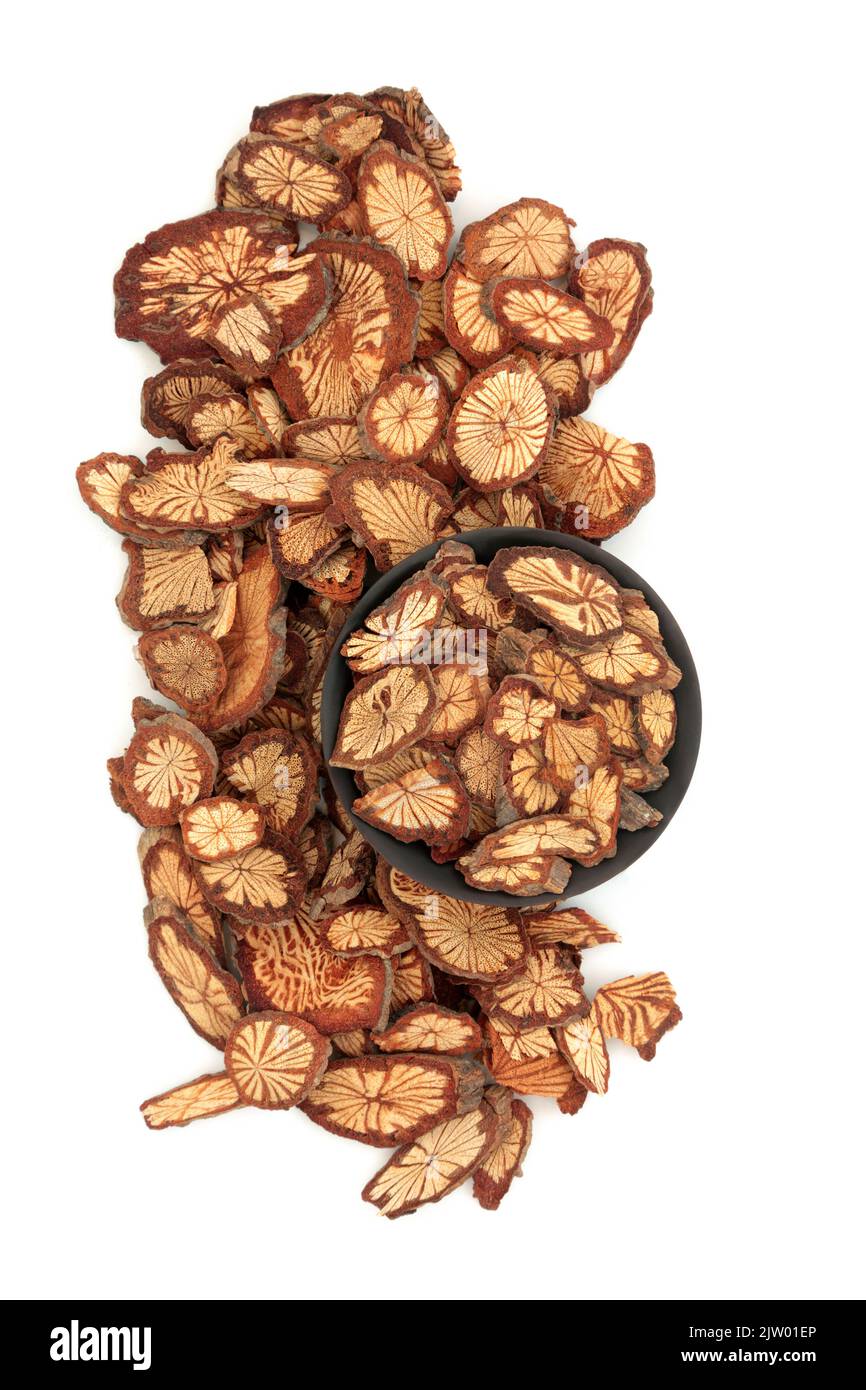 Sagent glory vine herbal plant medicine. Is anti bacterial, anti ...