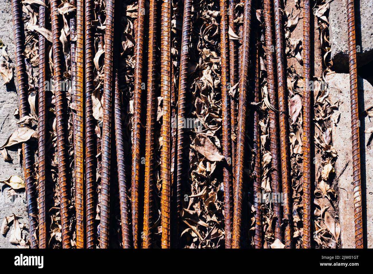 Top view old rusted iron bars and dry leaves on floor. Close up to ...