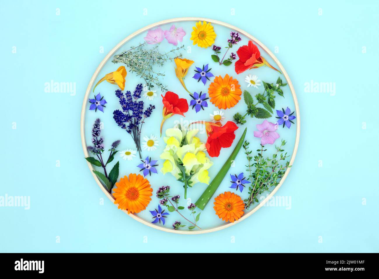 Flowers and herbs for natural plant based skincare healing beauty ...