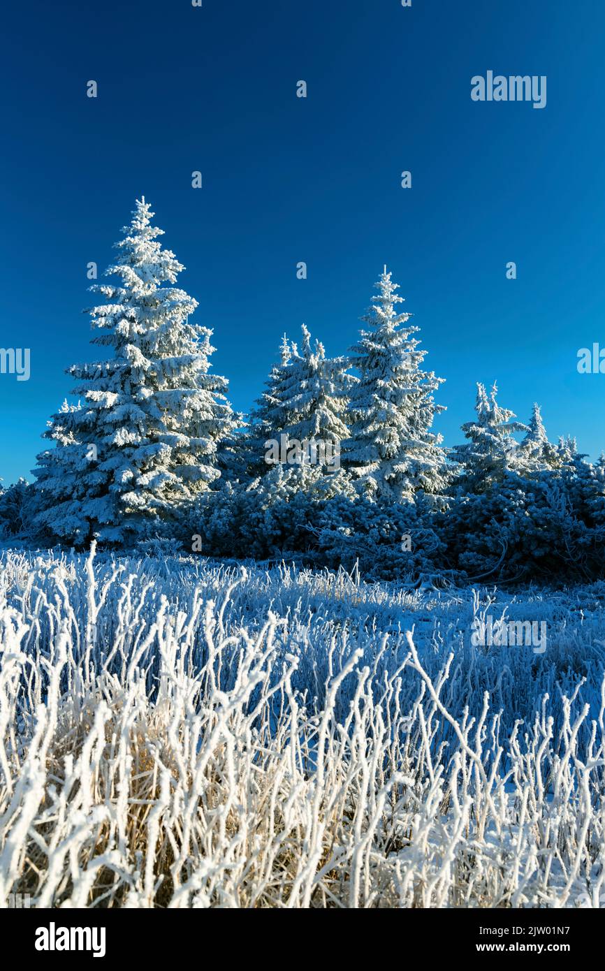 Winter landscape near Velka Destna, Orlicke mountains, Eastern Bohemia ...