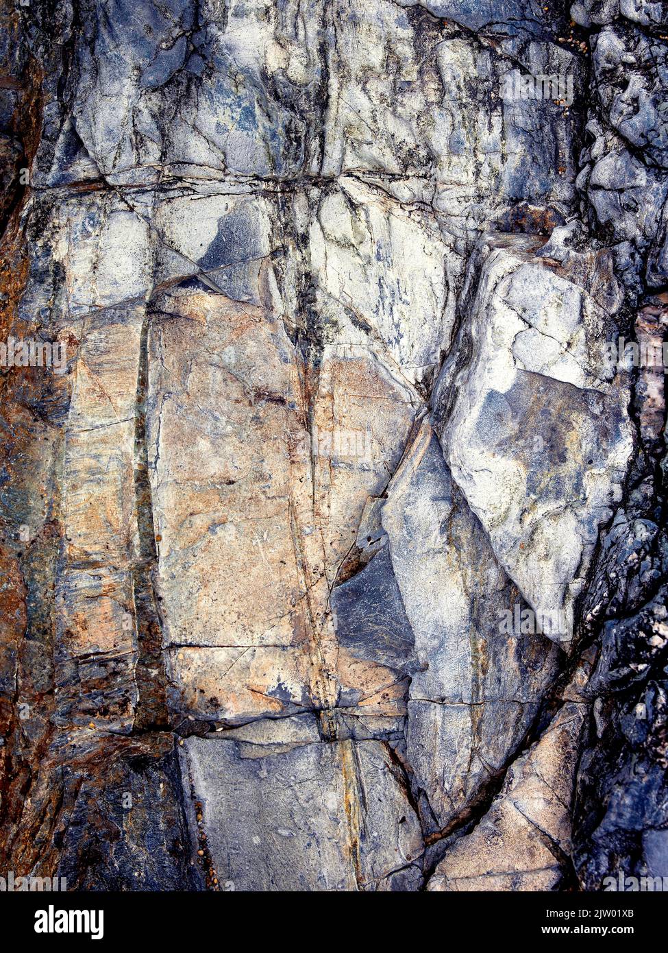 Stunning patterns formed in the rocks around Cornwallis coastline ...