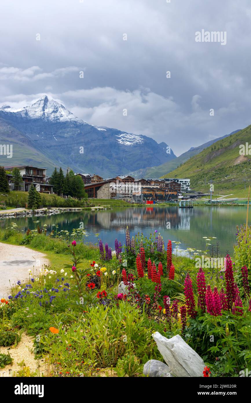 Spring and summer landscape, Tignes, Vanoise national park, France ...