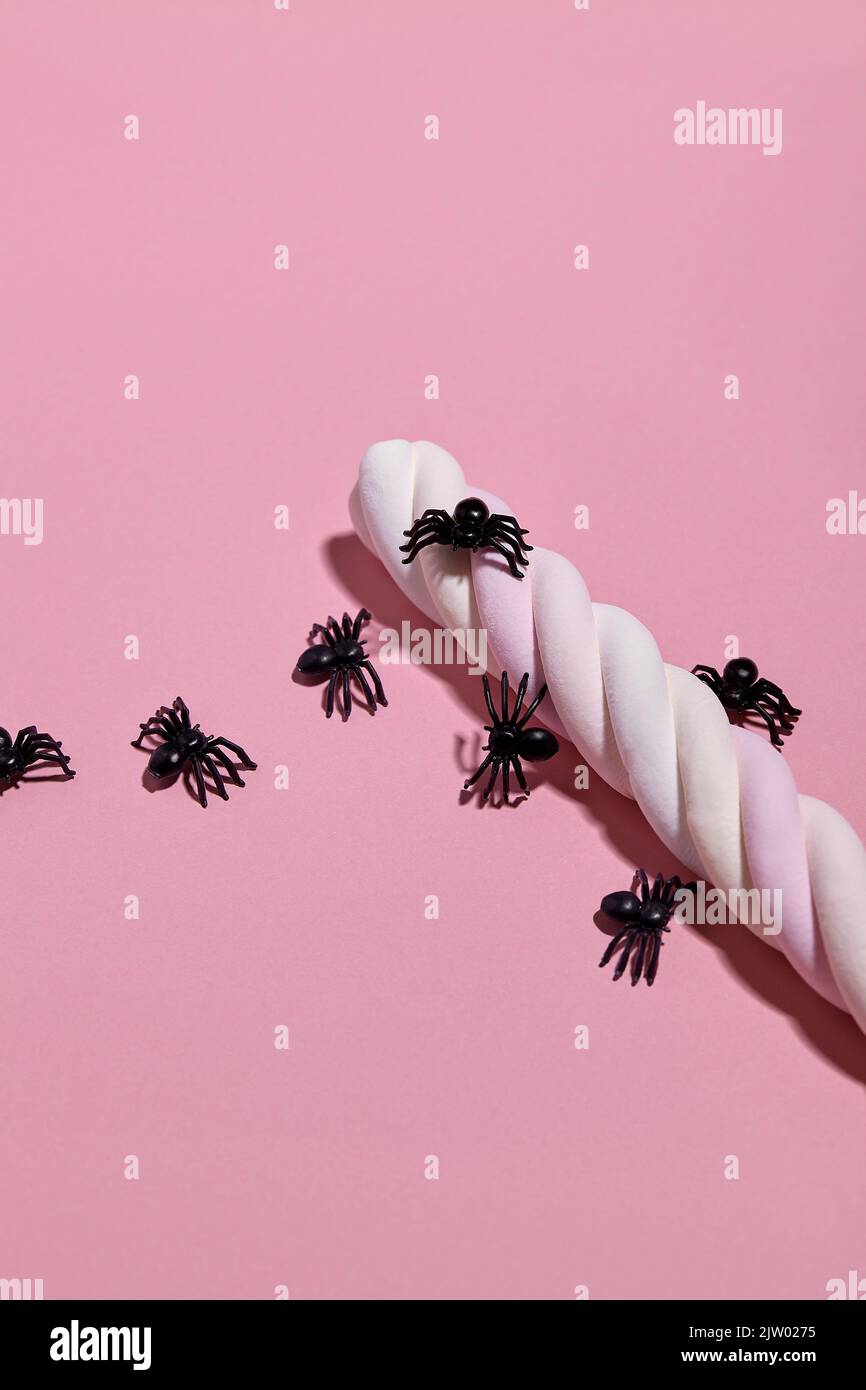 Halloween party food concept. Spooky fun spider decoration Stock Photo ...