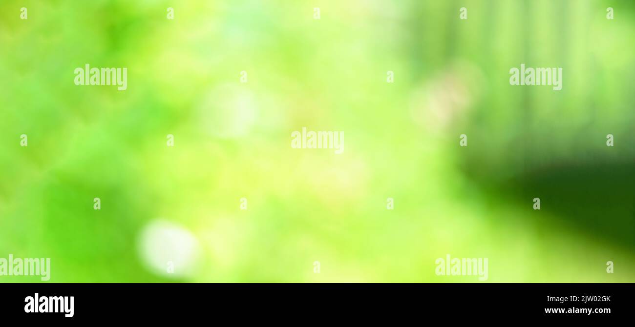 Bokeh of light, green grass and trees. Sun rays. Blurred unfocused ...