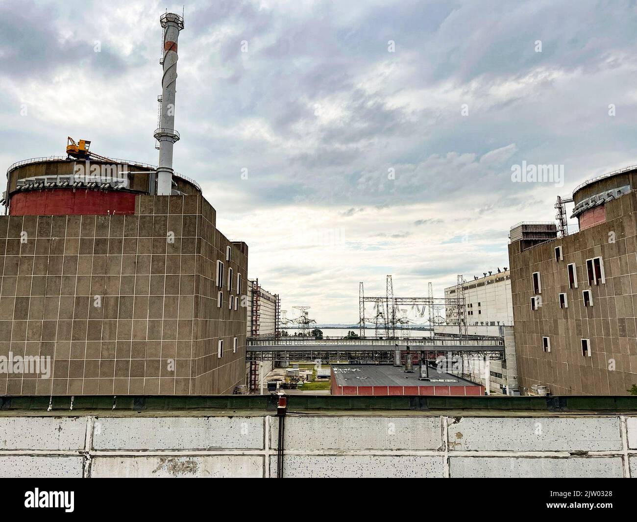 The International Atomic Energy Agency (IAEA) Support and Assistance ...